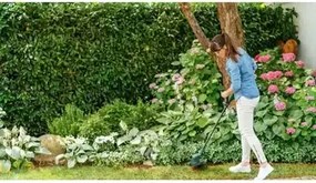BOSCH EasyGrassCut 18V-26 - Bez aku / AKU strunová sekačka / 18V / záb