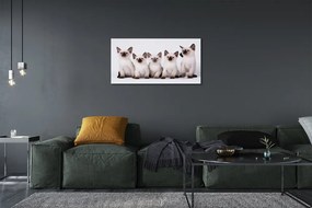 Obrazy na plátně malé kočky 125x50 cm