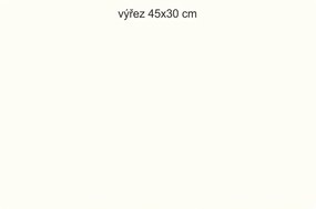 Li-Go "Kůň ve cvalu" světelný obraz 230V 62x42cm provedení povrchu: dub