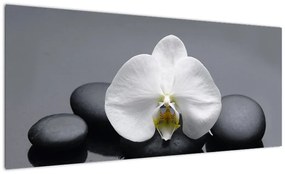 Květ orchideje - moderní obraz (100x40cm)