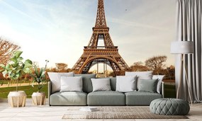 Fototapeta slavná Eiffelova věž - 225x150 cm