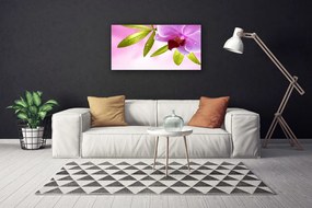 Obraz na plátně Květ Listy Rostlina 125x50 cm