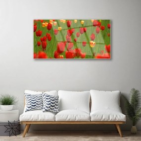 Obraz na skle Tulipány Rostlina 120x60 cm