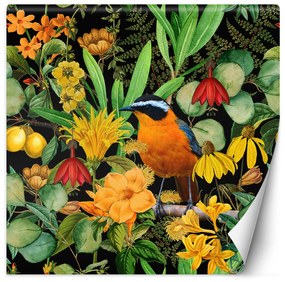 Gario Fototapeta Barevná abstraktní pták příroda - Andrea Haase Materiál: Vliesová, Rozměry: 100 x 100 cm