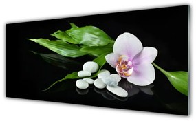 akrylový obraz Květ Kameny Listí 125x50 cm