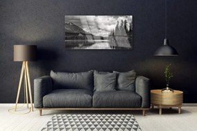 Obraz na skle Hora Les Jezero Příroda 140x70 cm