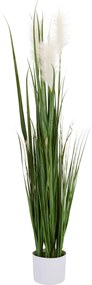 XXXLutz DEKORAČNÍ TRÁVA 120 cm Ambia Home - Dekorační tráva - 003953001601