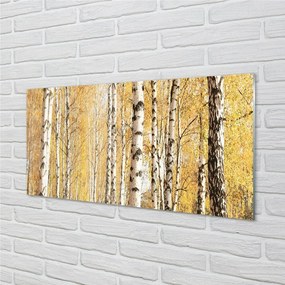 Obraz na skle podzimní stromy 100x50 cm