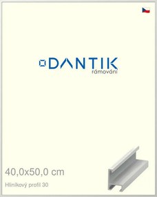 DANTIK rámeček 40x50 | ALU profil 6030 Bílá matná (Plexi Čiré)