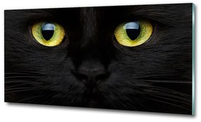 Wallmuralia Foto-obraz na skle horizontální Kočičí oči 100x50