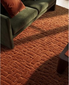 Koberec v terakotové barvě 200x290 cm – Asiatic Carpets