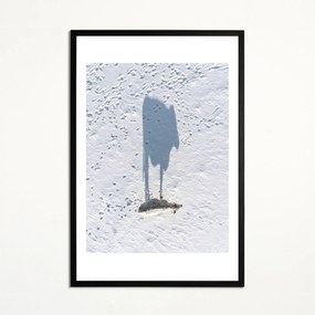 Tomáš Neuwirth | Stín ovce Rám: Černý, Velikost: 20 x 30 cm
