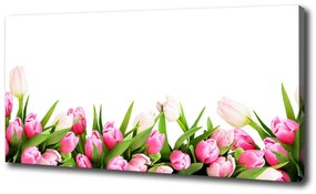 Wallmuralia Foto obraz canvas Růžové tulipány 100x50
