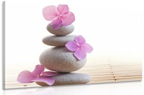 Obraz balanc kamenů a růžové orientální květy Varianta: 120x80