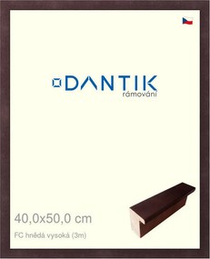 DANTIK rámeček 40x50 | FC hnědá vysoká (Plexi Čiré)