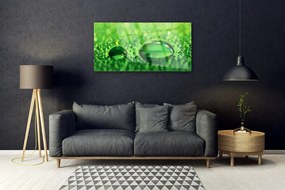 akrylový obraz Vodopád Krajina 100x50 cm
