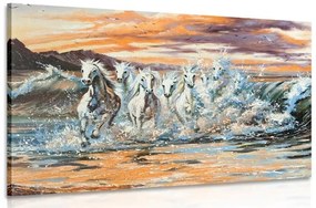 Obraz koně tvořeny vodou - 120x80 cm
