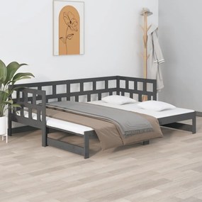 vidaXL Výsuvná postel masivní borovice 2x (80 x 200) cm [820229] Barva: Šedá