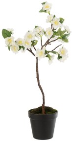 Dekorace umělý bílý kvetoucí stromek - 24-24*52 cm