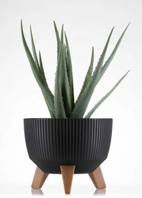 PLASTOVÝ KVĚTINÁČ ROSA LINEA ECO 15X24 CM ČERNÁ