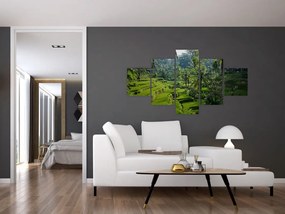 Obraz rýžových teras Tegalalang, Bali (125x70 cm)