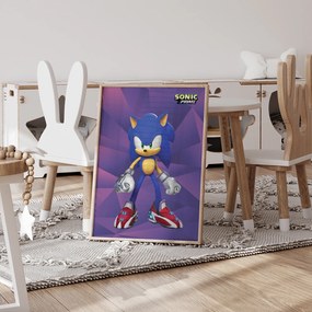 Oboustranný plakát Sonic | 30 x 42 cm | DP351501