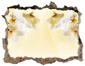 Wallmuralia Samolepící díra na stěnu nálepka Orchidej 95x64 cm