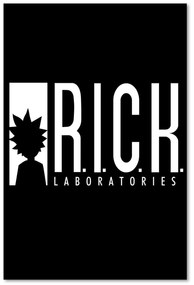 Gario Obraz na plátně Animovaný seriál R.I.C.K labs - Dr.Monekers Rozměry: 40 x 60 cm