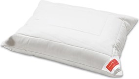 XXXLutz POLŠTÁŘ, 50/70 cm Hefel Textil - Polštáře pod hlavu - 004636003601