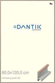 DANTIK rámeček 80x120 | ALU profil 6035 Dýha ořech raw (Plexi Čiré)
