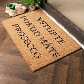 Rohožka z přírodního kokosového vlákna Artsy Doormats Prosecco, 40 x 60 cm