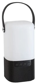 LED stojací lampa Ray 9.3 černé