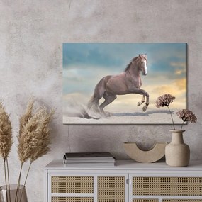 Obraz Majestátní Kůň V Poušti Nedostatek Nedostatek Přírodní plátno 30x20