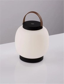 NV 9002876 Venkovní stolní lampa JIGRA černý hliník a akryl LED 2W 3000K 3,7V 306st. IP54 vypínač na těle / USB kabel - NOVA LUCE