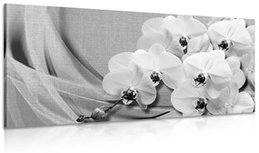 Obraz orchidej na plátně v černobílém provedení Varianta: 100x50