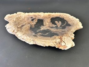 Miska fosilní zkamenělé dřevo 40 cm