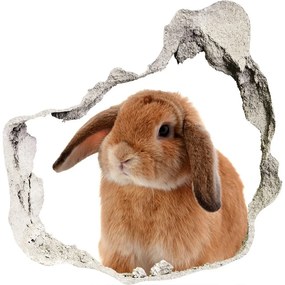 Wallmuralia Díra 3D fototapeta nálepka Červený králík 75x75 cm