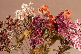 Paramit DRY DIANTHUS Aranžovací květina krémová 65 cm