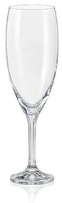 Crystalex Sklenice na šampaňské Magnolia 210 ml, 6 ks