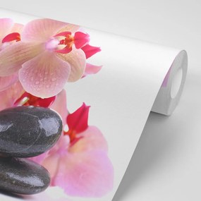 Samolepící fototapeta kameny a orchidej