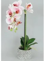 Autronic Orchidea v betonovém květnáči, barva bílo-růžová. Květina umělá. VK-1250