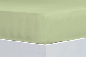 Florella Prostěradlo Avance Jersey 45 Grün, 180-190x200 cm