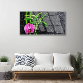 Obraz na skle Bambus Květ Kapky 125x50 cm