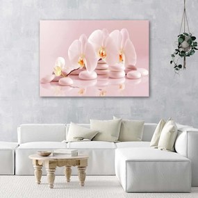 Obraz na plátně Orchidejové květinové zenové lázně - 120x80 cm