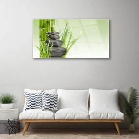 akrylový obraz Bambus Tráva Rostlina Příroda 100x50 cm