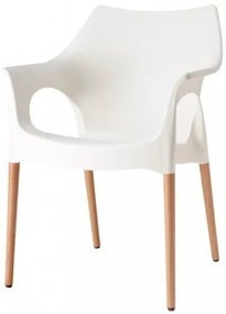 Scab Plastová židle Natural OLA Barva plastu Scab Kakaová 2115