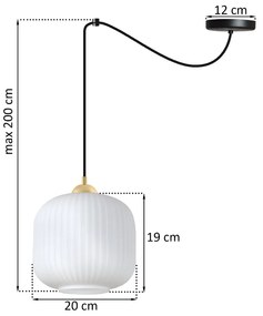 Závěsné svítidlo Riffle Spider 2, 1x bílé skleněné stínítko, b/g