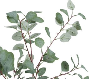 Umělý eukalyptus (výška 180 cm) Eucalyptus – Ixia