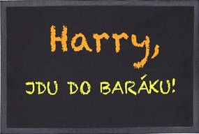 Rohožka Harry, jdu do baráku 40x60 cm, 40x60, čierna, Mercury Flooring