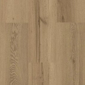 Vinylová plovoucí podlaha BRASED Ecoplus Click 9596 Dub elegantní světlý 1,883 m²